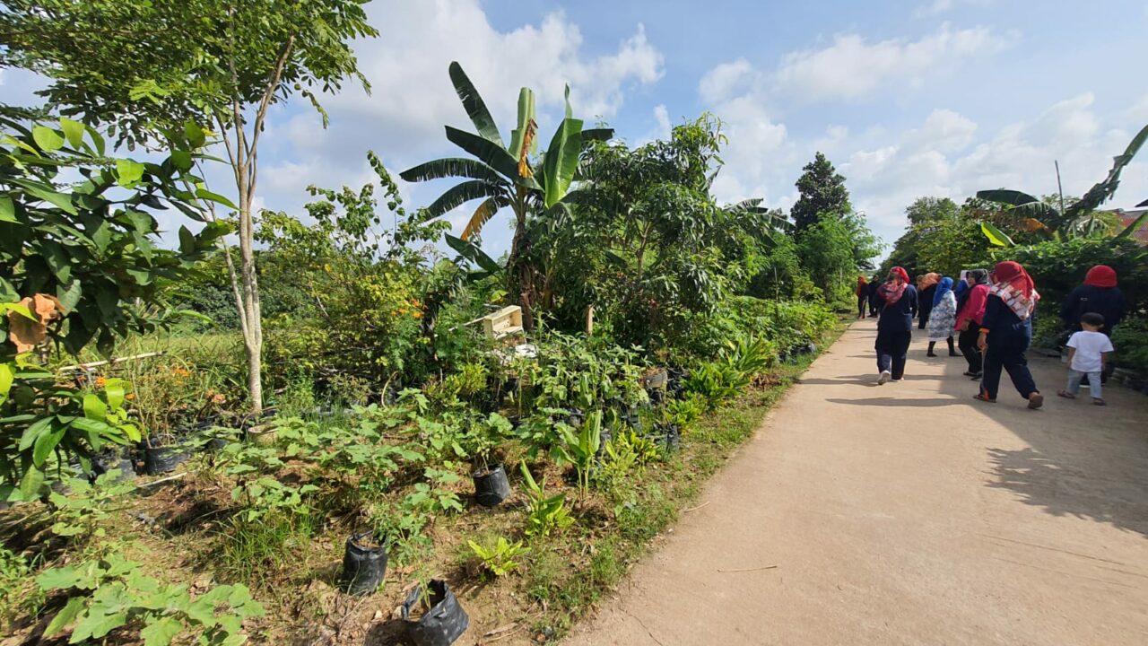 Pembinaan Toga PKK Mutiara Perumahan Bukit Raya – Puskesmas Botania ...