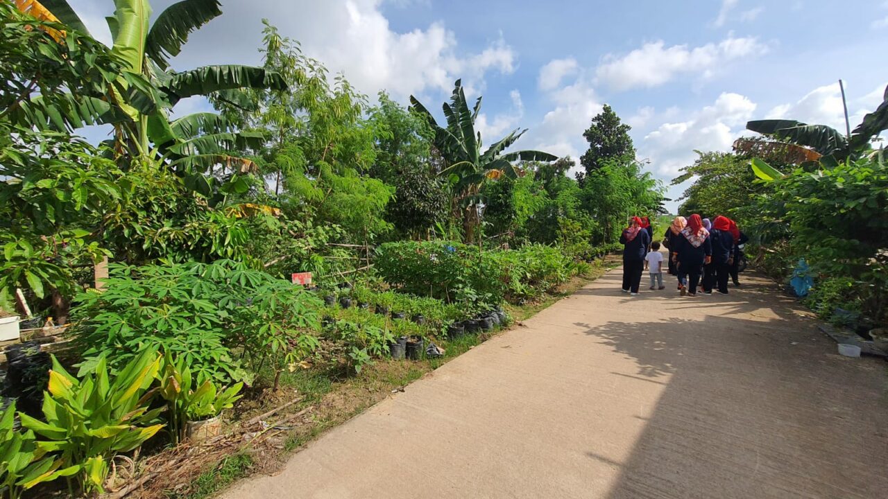 Pembinaan Toga PKK Mutiara Perumahan Bukit Raya – Puskesmas Botania ...